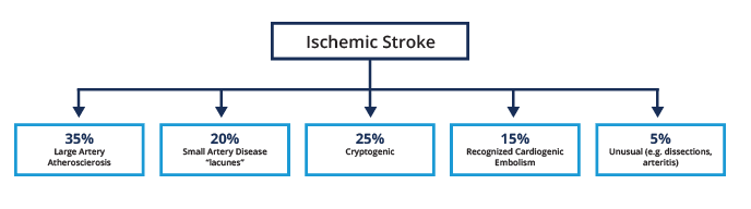 NAVIGATE ESUS | Canadian Stroke Prevention Intervention Network